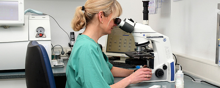 Labor – St. Elisabeth Krankenhaus Damme